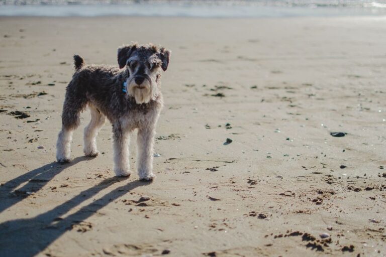 15 Best Beaches in Connecticut 2023 - Your Guide to Wandering
