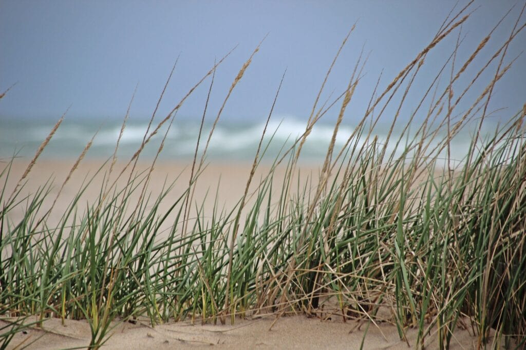 15 Best Rhode Island Beaches 2026: Misquamicut, Newport and Beyond ...